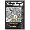 Amazon.com: Civil War: The Fourteenth Amendment - History Classroom ...