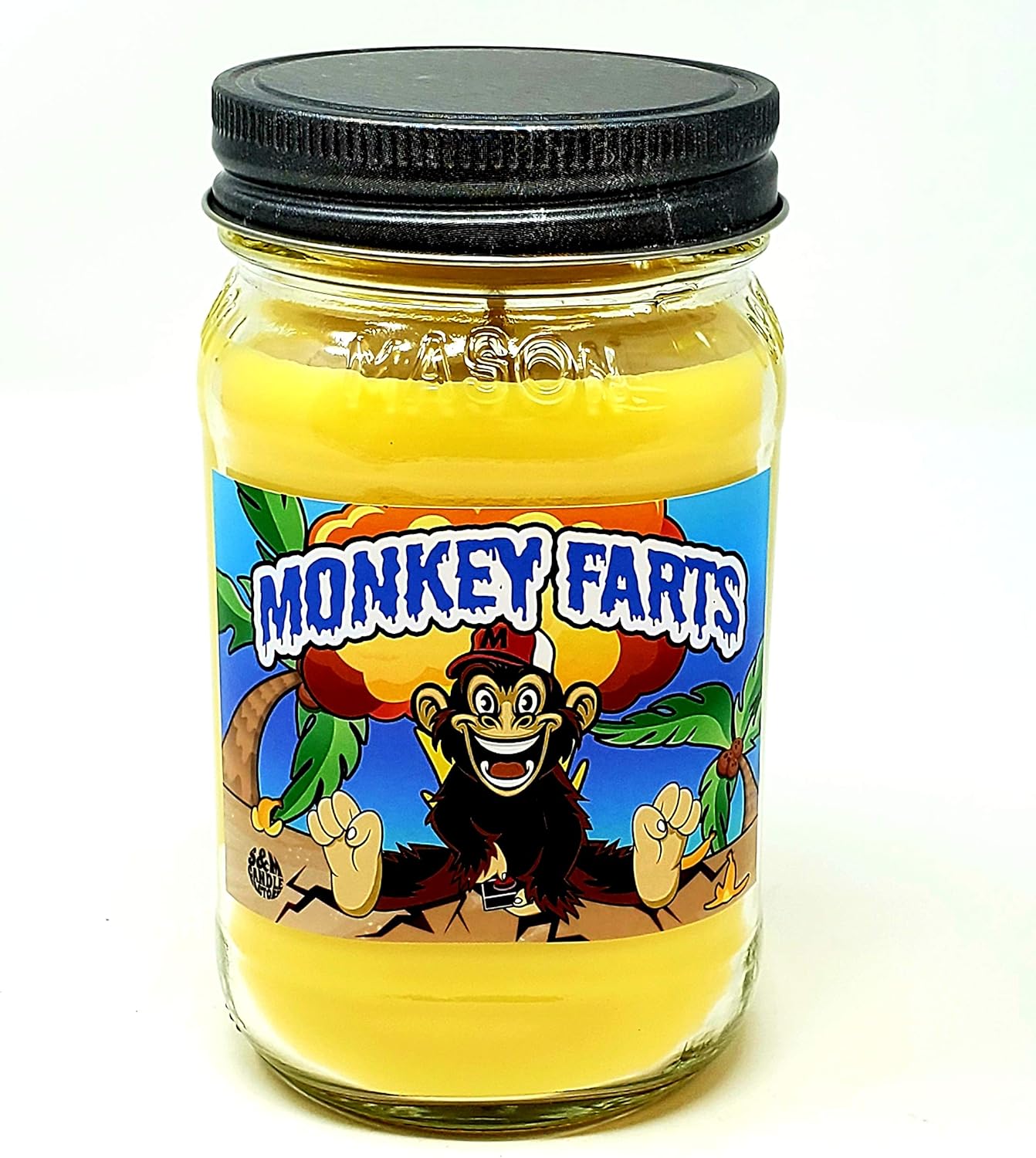 Amazon.com: Monkey Farts Candle ~ Premium All Natural Soy Candle ...