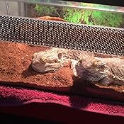 Vetark Professional Tamodine Wound Dressing, 50 ml: Amazon.co.uk: Pet ...