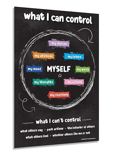 ZOCO – Things I Can Control Poster – Mental Health & Growth Mindset ...