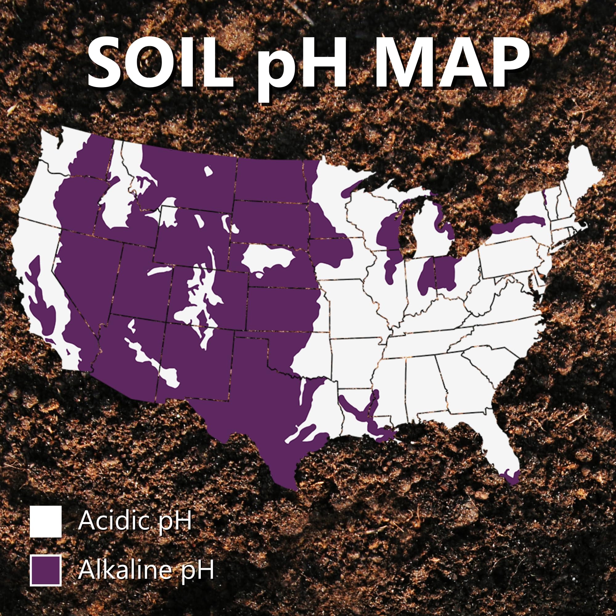 Mua Jonathan Green (11356 Mag-I-Cal Plus Soil Food for Lawns in ...