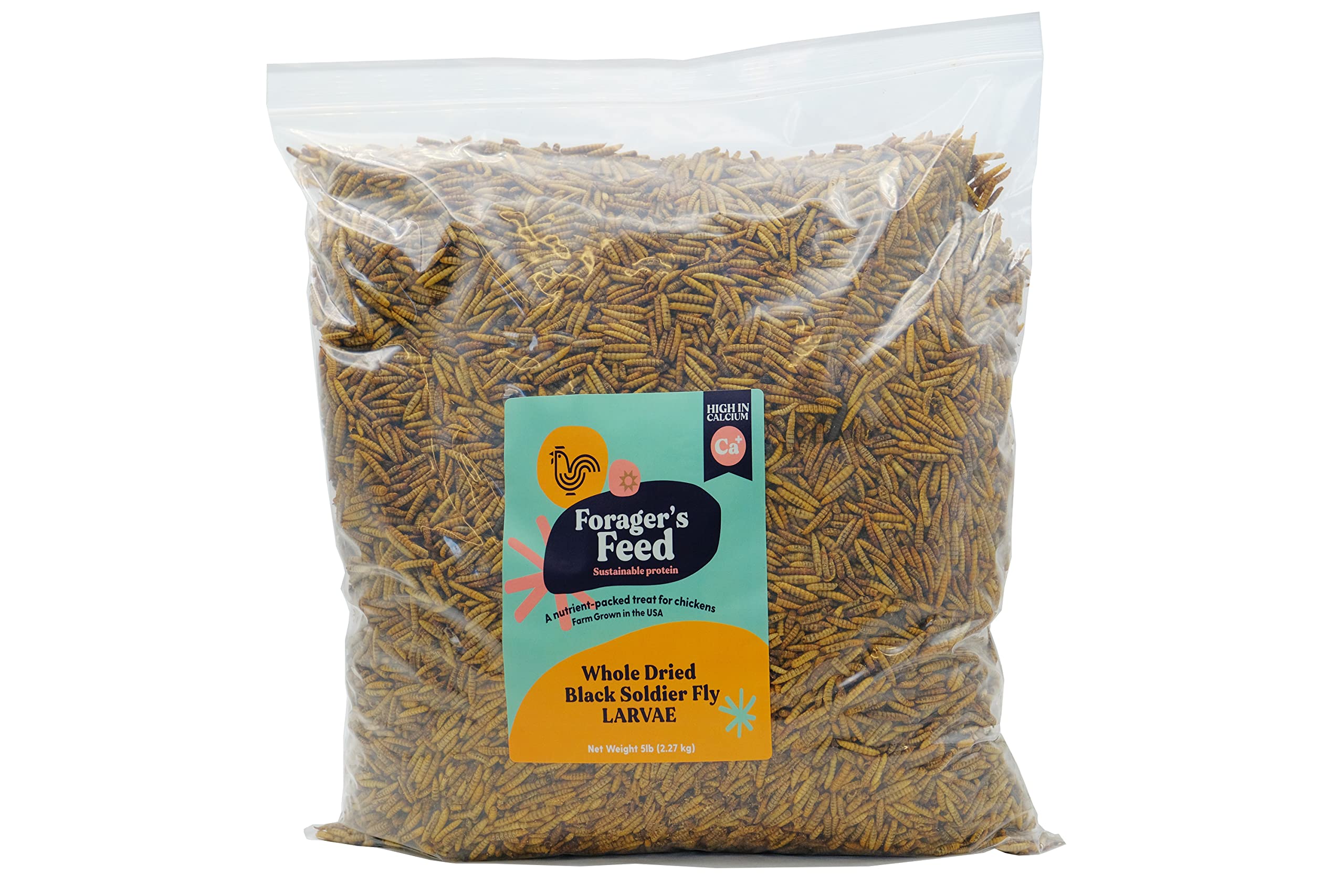 Mua Foragers Feed Whole Dried Black Soldier Fly Larvae, 100% All ...