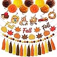Amazon.com: Fall Party Decorations, Happy Fall Banner Decoartions with ...