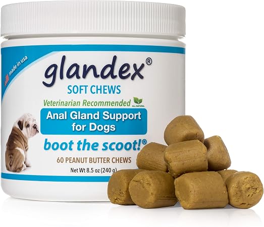 Glandex for Dogs Anal Gland Soft Chew Treats With Pumpkin, Digestive ...