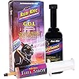 Amazon.com: RUN-RITE G.D.I Preventative Maintenance Fuel Cleaner Kit ...