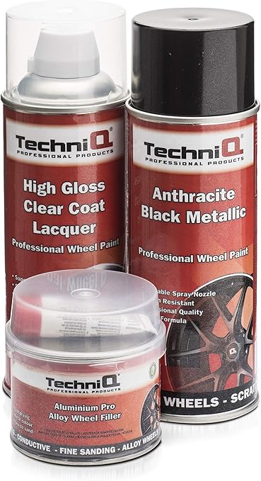 TechniQ Anthracite Black Metallic Alloy Wheel Paint Kit 1 x 400ml Can ...
