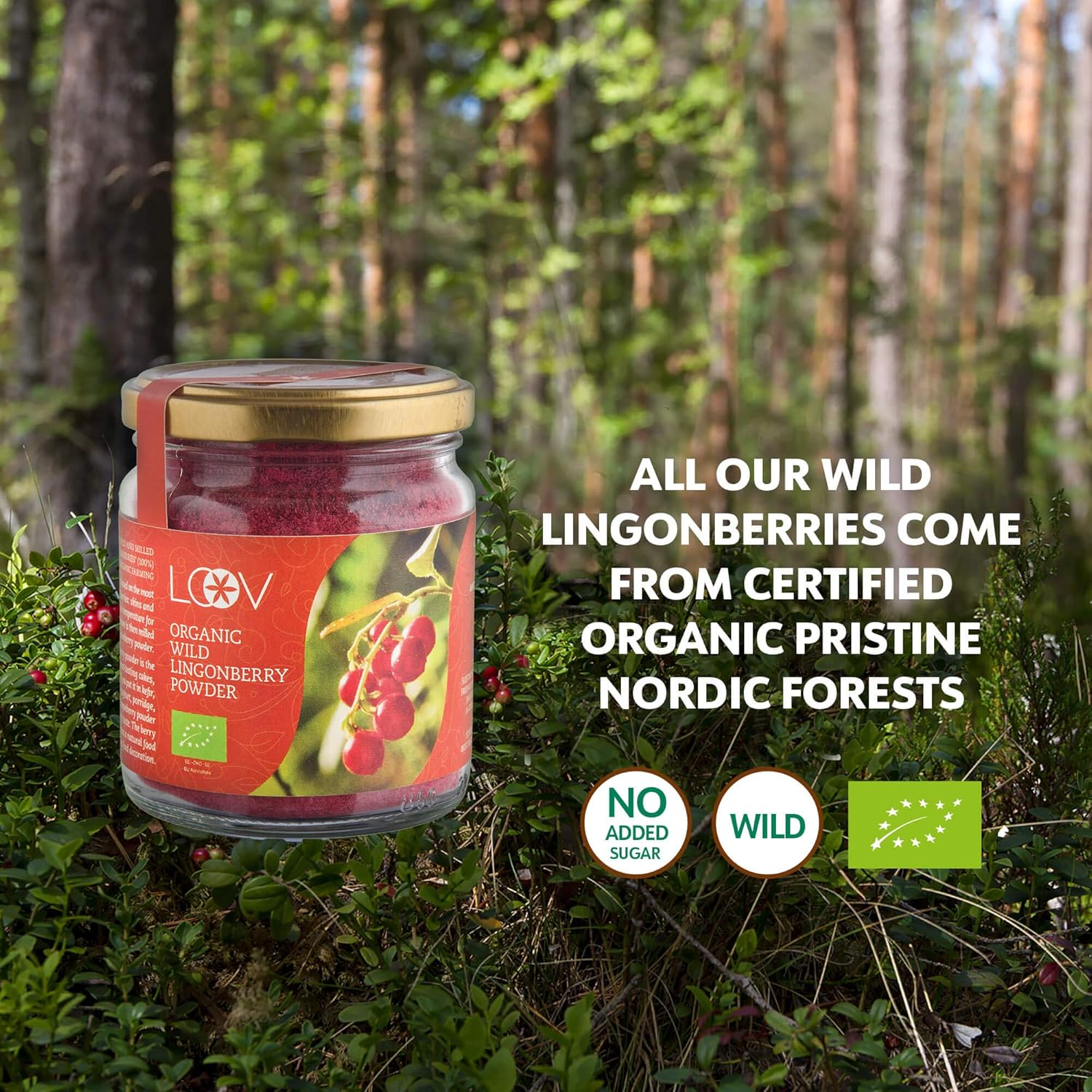 LOOV Wild Organic Lingonberry Powder (Pomace Powder), 100 g, Made from ...