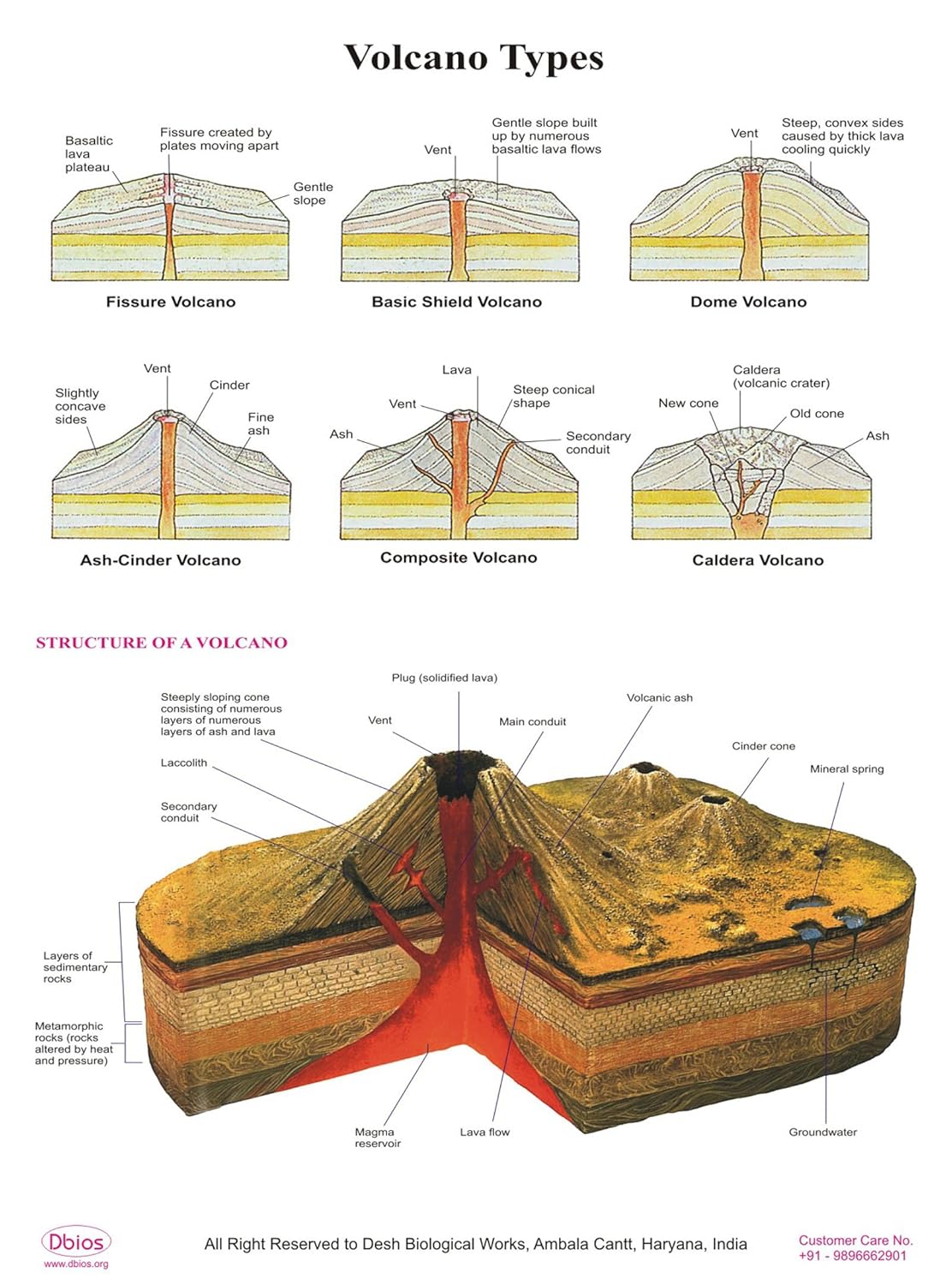 Dbios Digitaldruck Papier Material Vulkan Typen Educational Wall Chart ...
