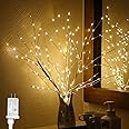 Amazon.com: Lighted Birch Branches Pack of 3, 34IN 180 LED White ...