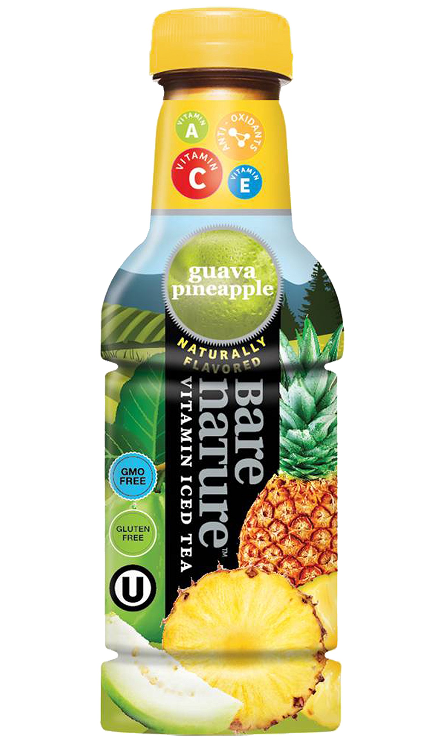 Amazon.com : Bare Nature VITAMIN ICED TEA (Green Tea Ginger & Honey ...