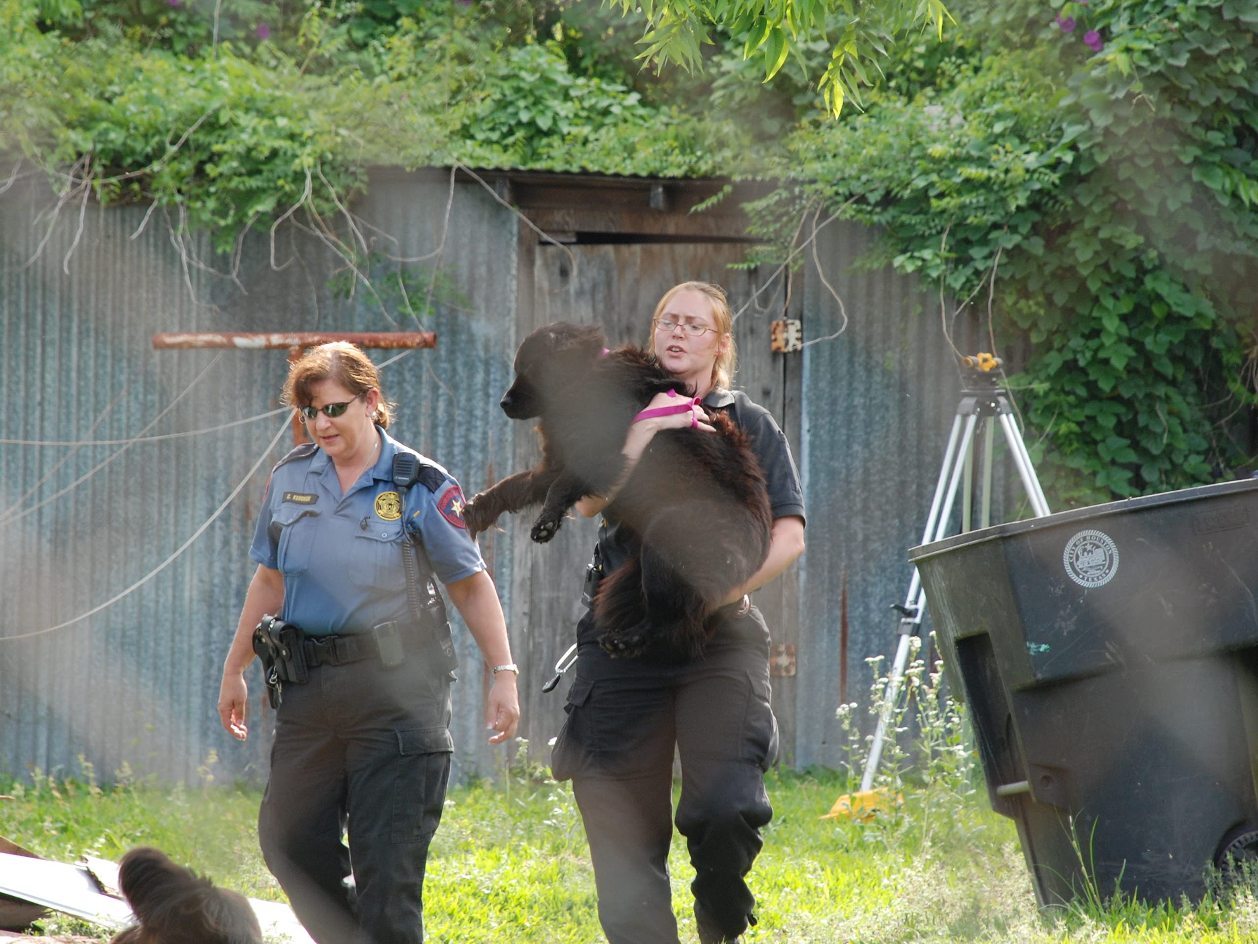 Watch Animal Cops: Houston - Season 5 | Prime Video