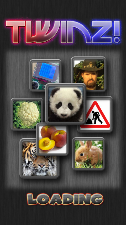 Twinz! - Ad-Free:Amazon.com:Appstore for Android