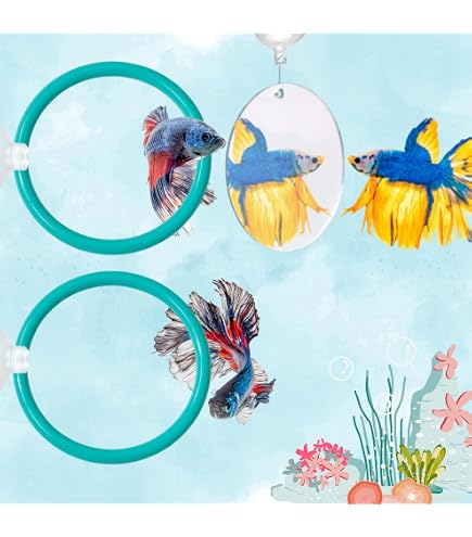 Betta Fish Flare Toy