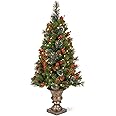 Amazon.com: National Tree Company Pre-Lit Artificial Mini Christmas ...
