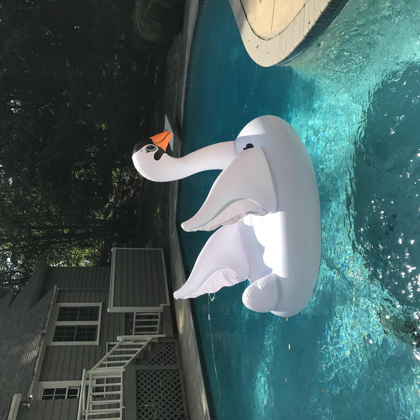 $9/mo - Finance Intex Mega Swan, Inflatable Island, 76.5" X 60" X 58 ...