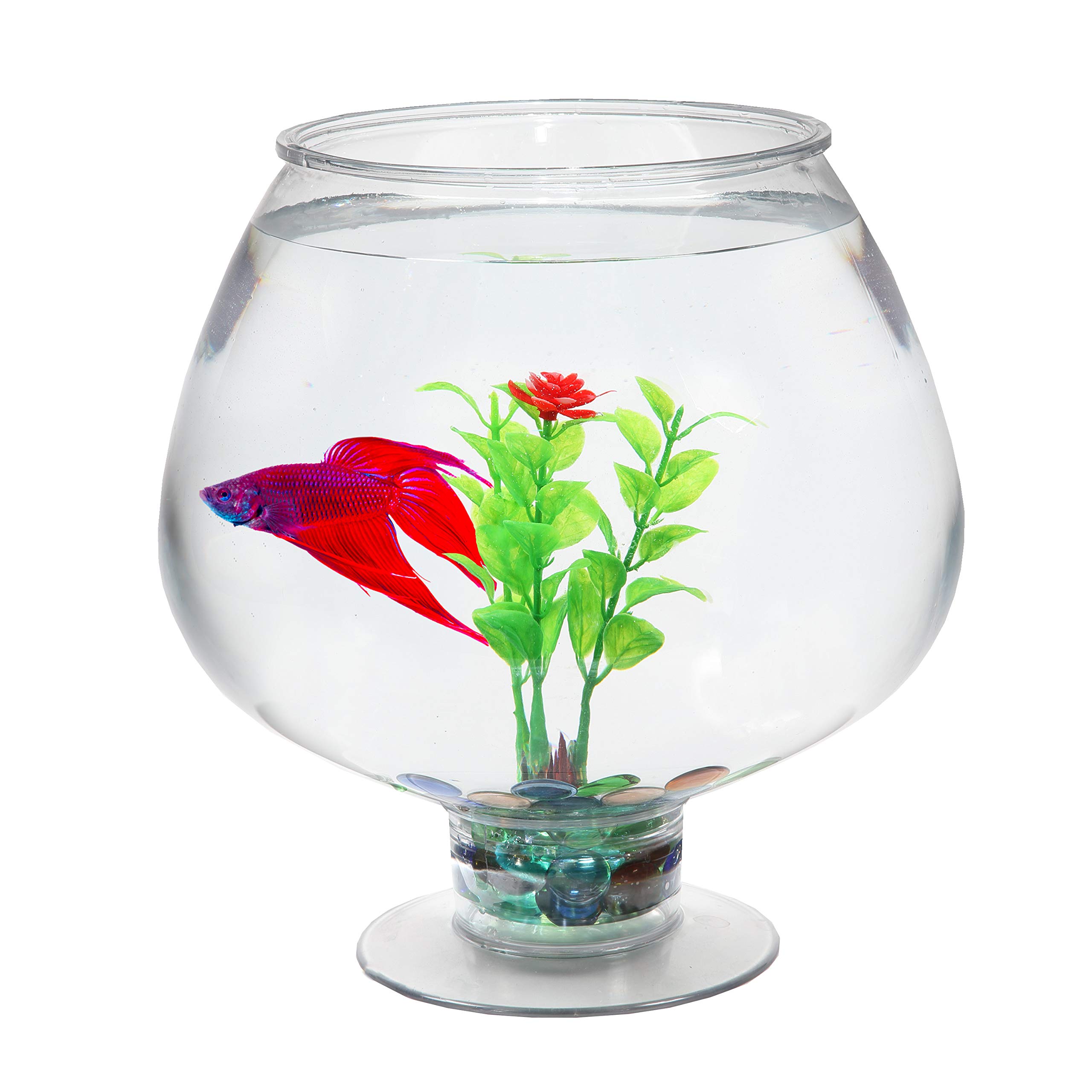 Fish Bowls Oman | Buy Online | Whizz Others