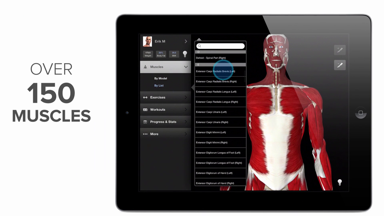 iMuscle 2 - App on Amazon Appstore
