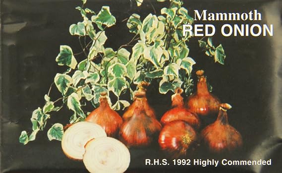W. Robinson & Son Mammoth Red Onion Pack: Amazon.co.uk: Grocery