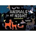 Amazon.com: Animals at Night: An Interactive Glow-in-the-Dark Bedtime ...
