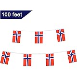 Amazon.com: 40 Tattoos: Norway Flag, Norwegian Party Favors: Health ...