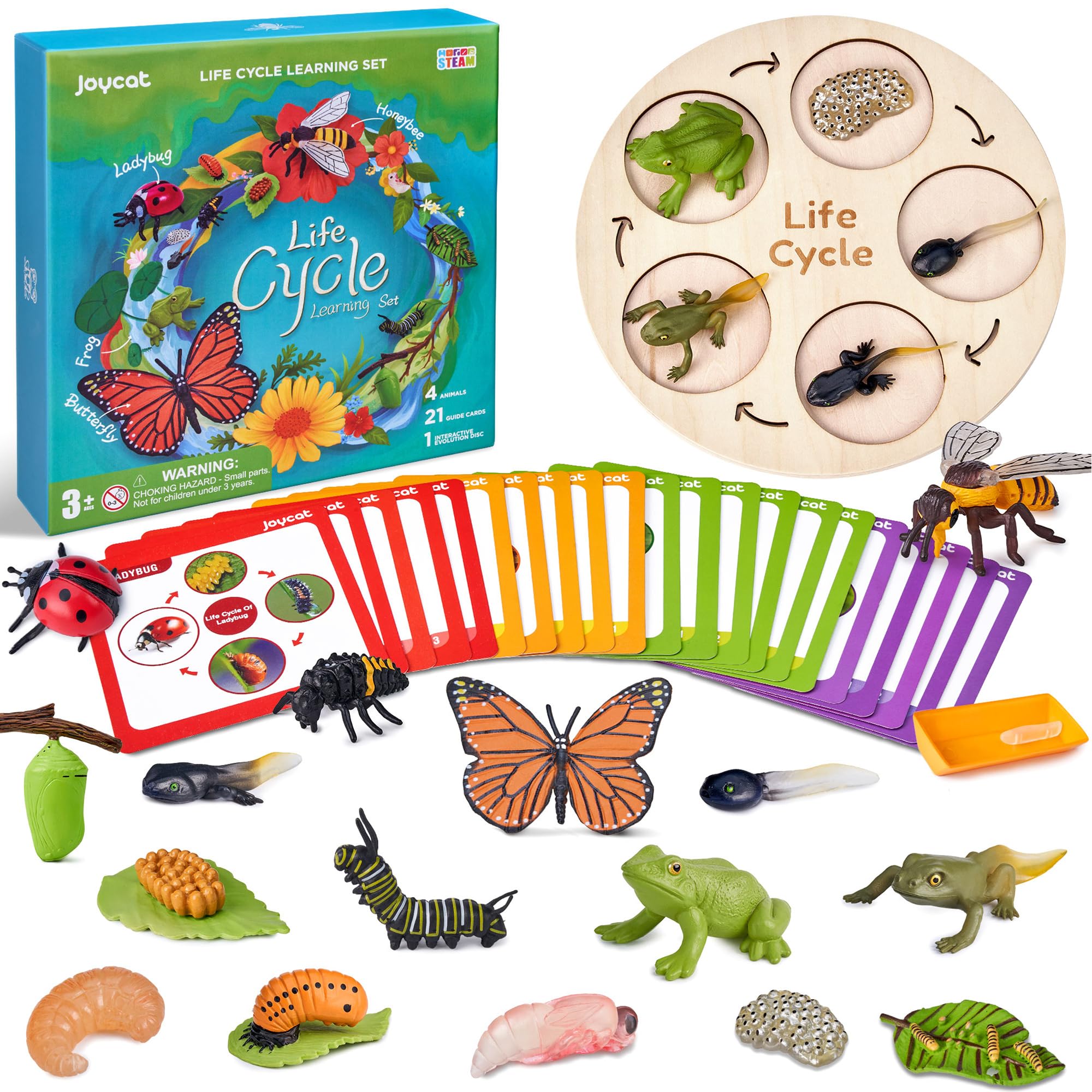 Mua Life Cycle Learning Education Toys, Insect Caterpillar to Butterfly ...