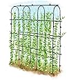 Amazon.com : SUMGROW 6 ft Tall, Garden Trellis for Climbing Plants ...