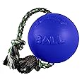 Pet Supplies : Pet Toy Balls : Jolly Pets Romp-n-Roll Rope and Ball Dog ...