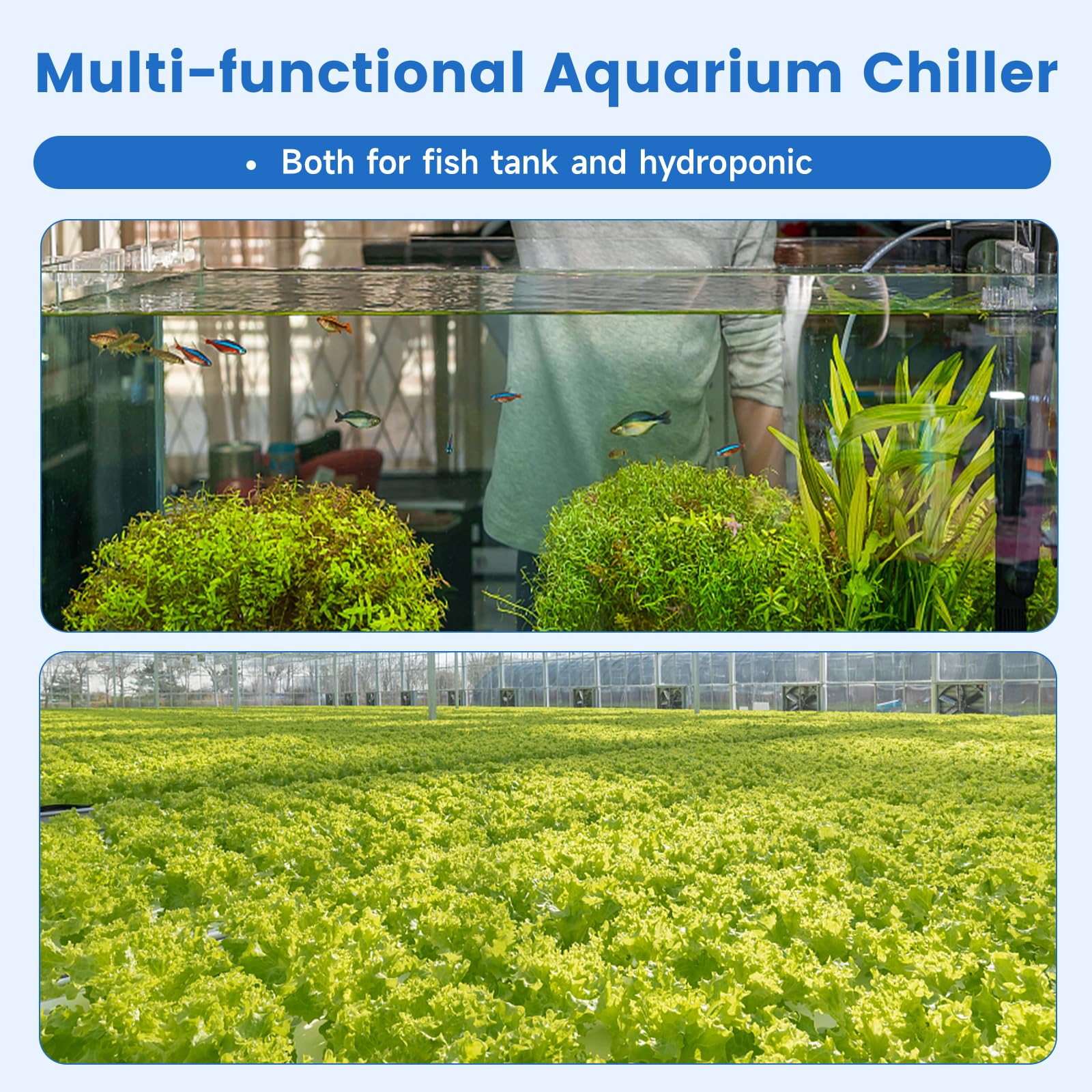 Mua Aquarium Chiller, 10gal 100W Water Chiller 3L/Min Water Cooler ...