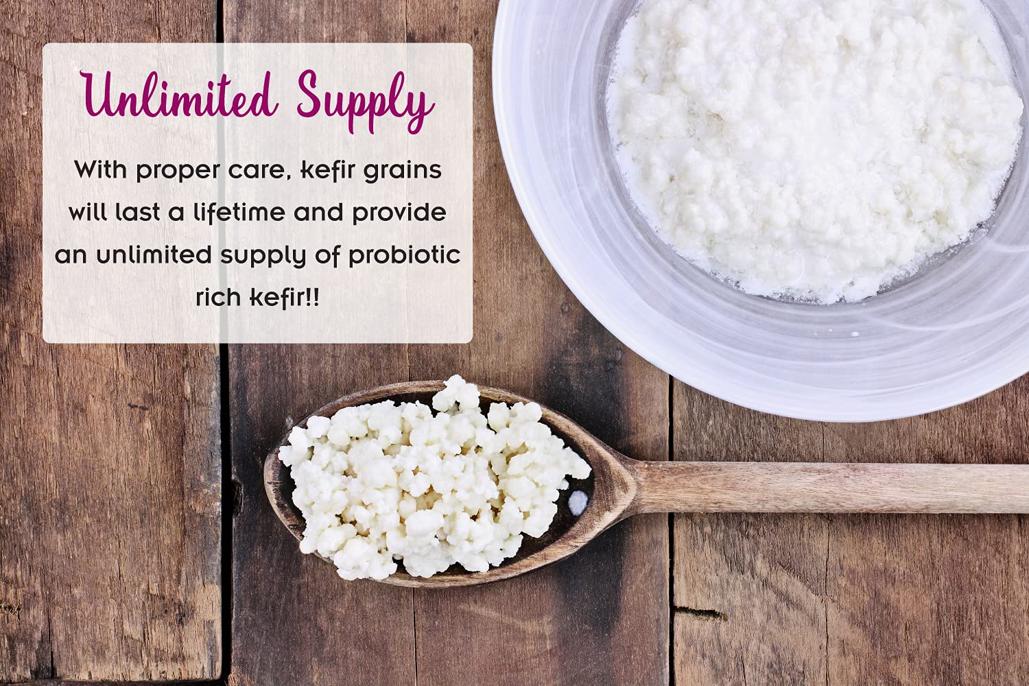 1 TBSP Milk Kefir Grains And EBook "Milk Kefir Unleashed By Thomas ...