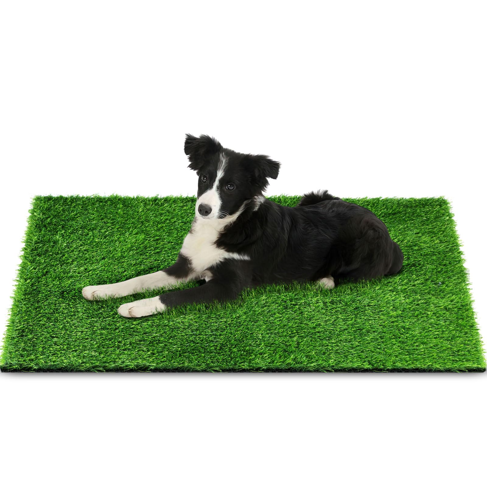 Shindel Artificial Grass, Professional Dog Grass Mat, Potty Training ...