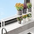 Amazon.com: WOCHUANGSI Expandable Window Shelf for Plants Kitchen Sink ...