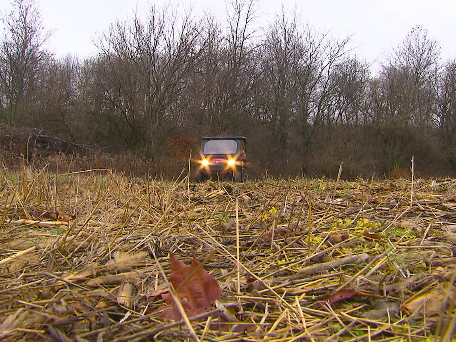 Watch Whitetail SLAM - Season 5 | Prime Video