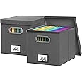 Amazon.com: GRSQYS File Storage Box with Lid File Boxes for Hanging ...
