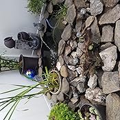 Amazon.com: Algreen Pond Fish Spitter with Pump and Tubing: Garden ...