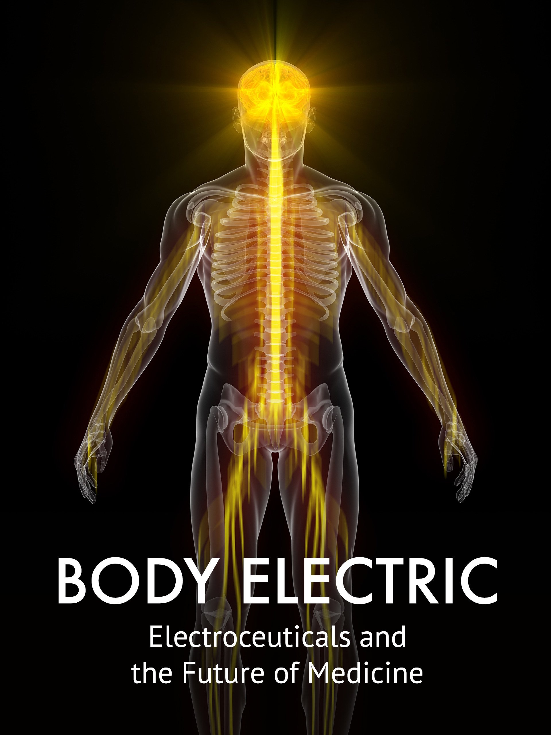 Amazon.com: Body Electric: Electroceuticals and the Future of Medicine ...