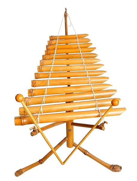 Amazon.com: Vietnamese Traditional Instrument Xylophone mini T'rung ...