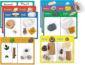 Amazon.com: Lakeshore Science Specimens Sorting Center : Toys & Games