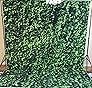 WOLADA 7x5ft Green Leaves Backdrops Microfiber Nature Leaf Backdrop ...