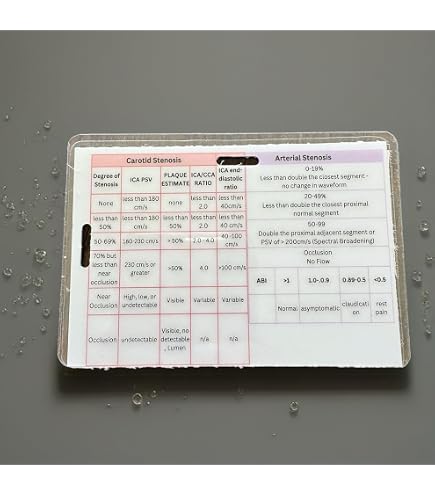 Vital Signs Badge Card LAB Heavy Duty Horizontal Burgundy (1 Pack ...