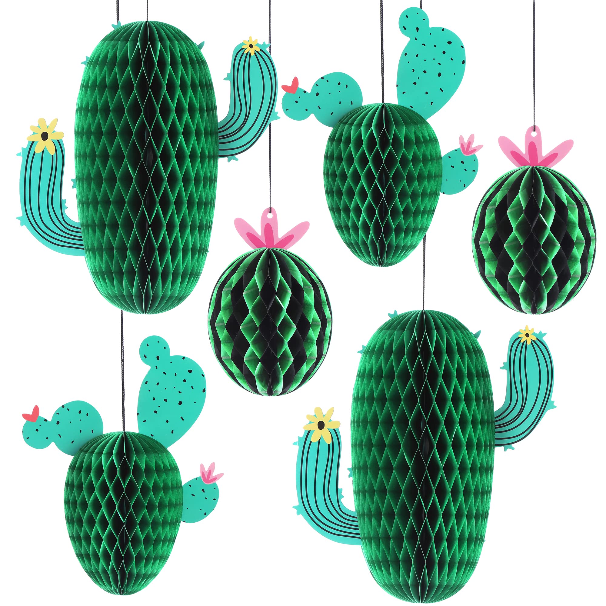 KatchOn, Hanging Cactus Centerpieces - Pack of 6, Cactus Party ...