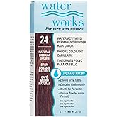 Amazon.com : Water Works Permanent Powder Hair Color - #27 Natural ...