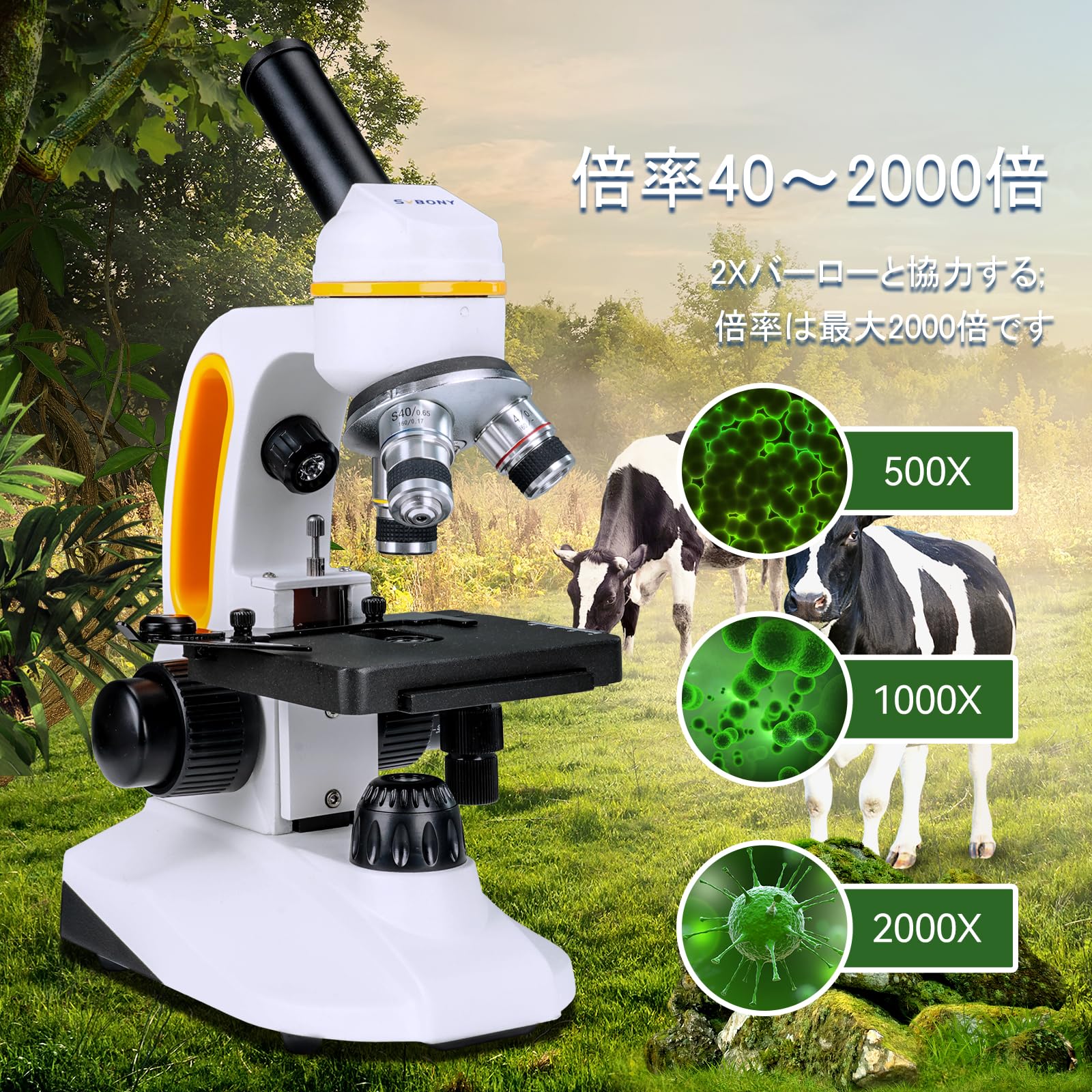 Mua SVBONY SM202 Microscope, Biological Microscope, Composite Monocular ...