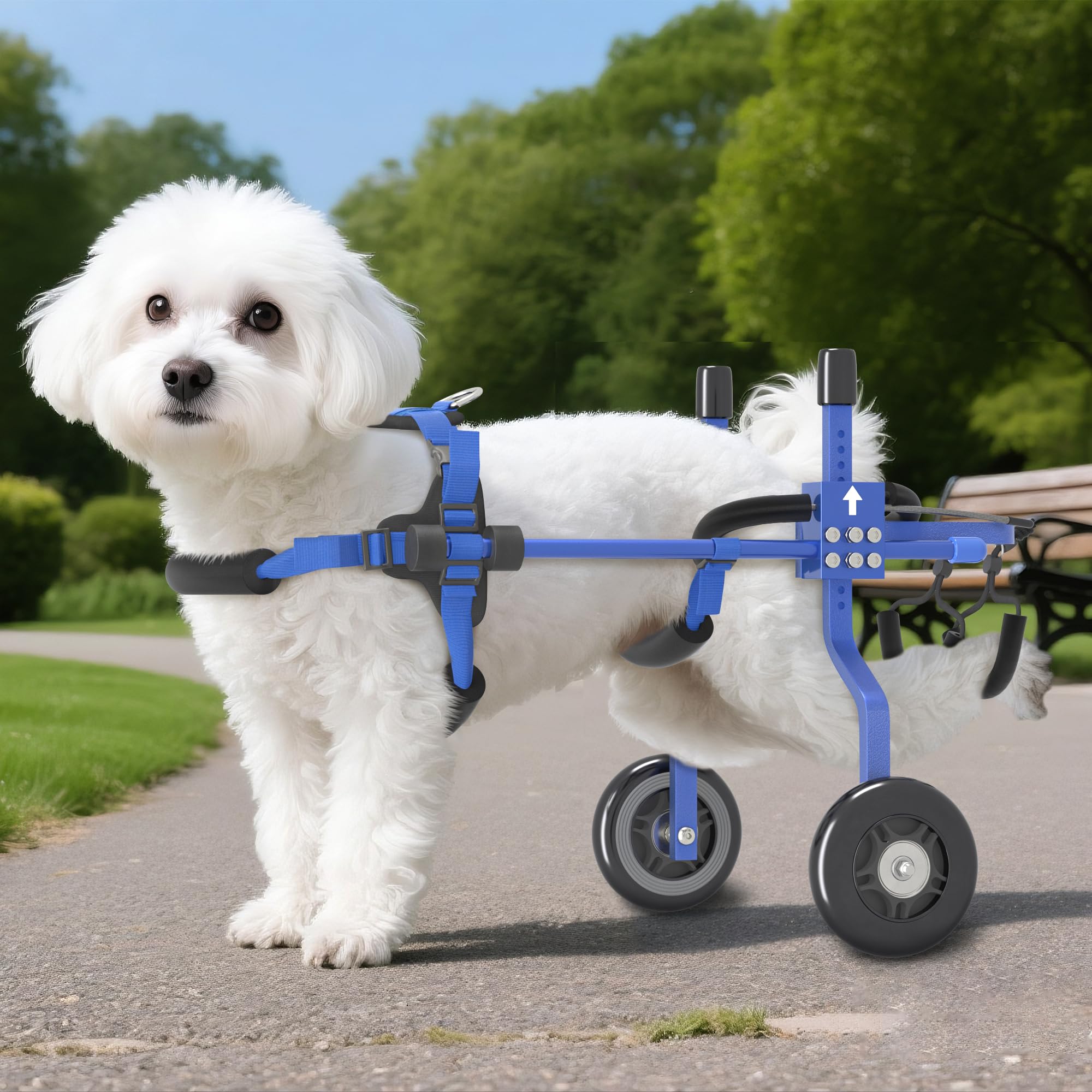 LetPetRun Dog Wheelchair for Back Legs,Adjustable Dog Carts with Wheels ...
