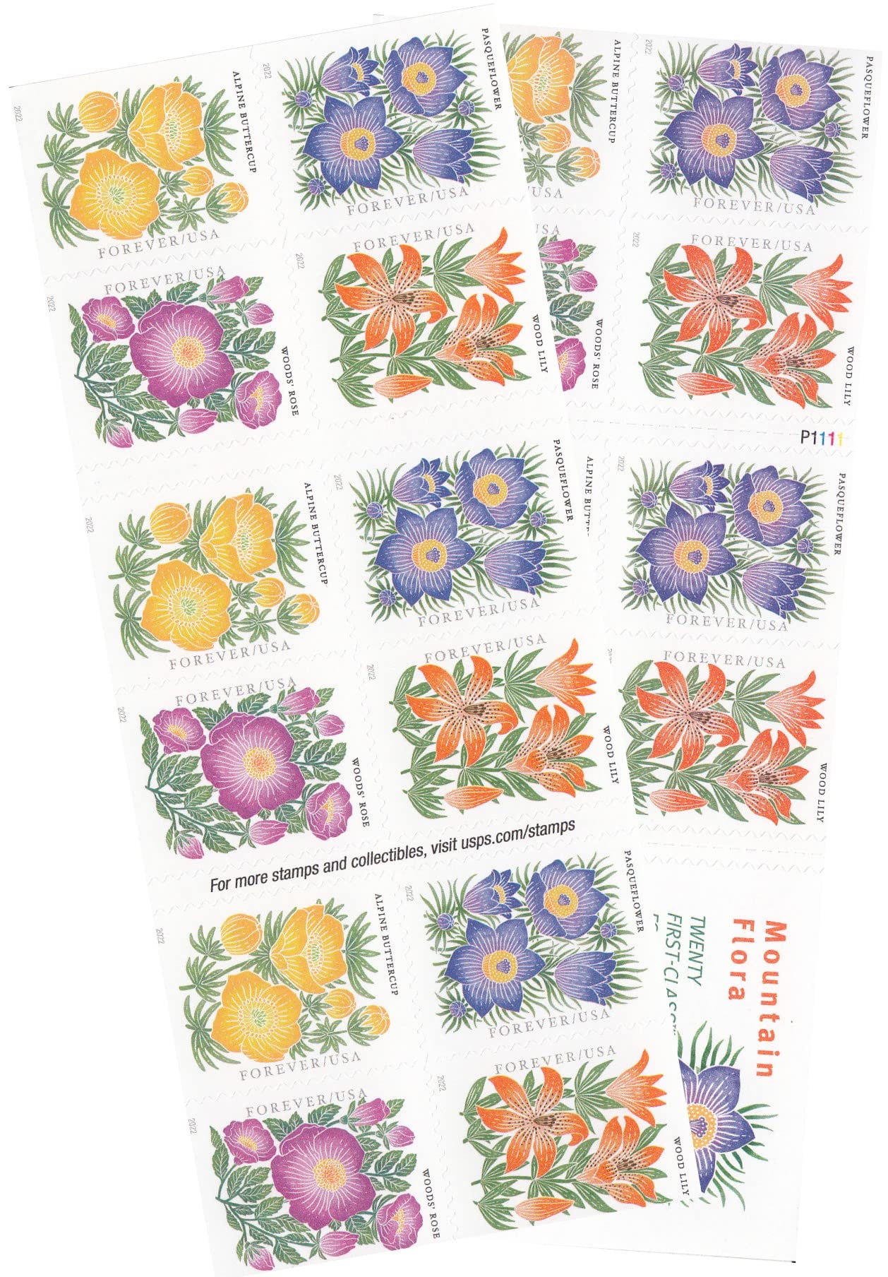 Mua 2022 Mountain Flora Flowers, Garden, Love, Forever First Class ...