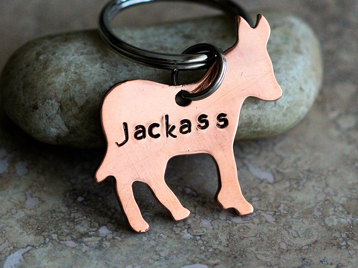 Amazon.com: Jackass Donkey key chain in copper: Handmade