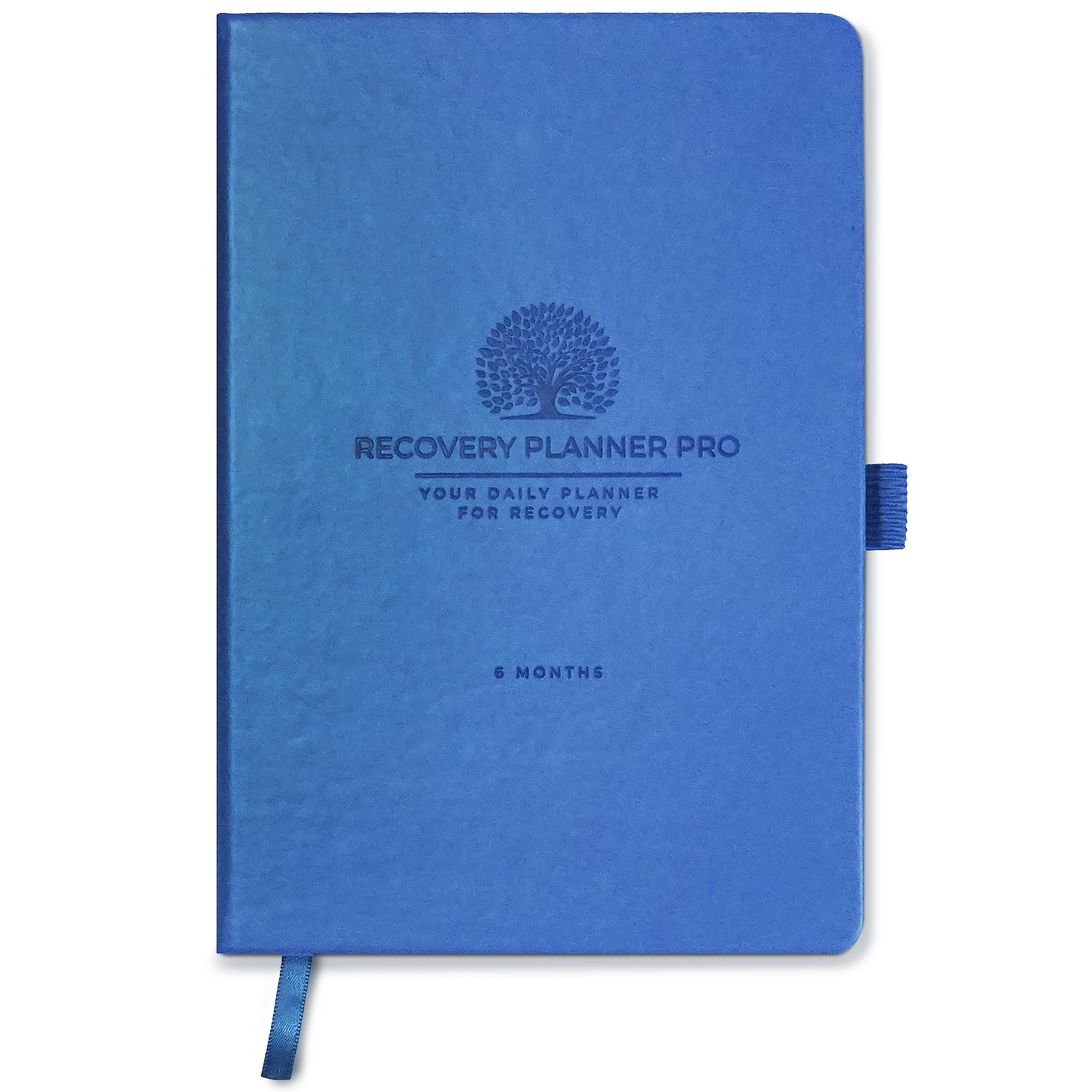 Mua Ironwerks Designs Daily Recovery Planner Pro - Sobriety Gifts for ...