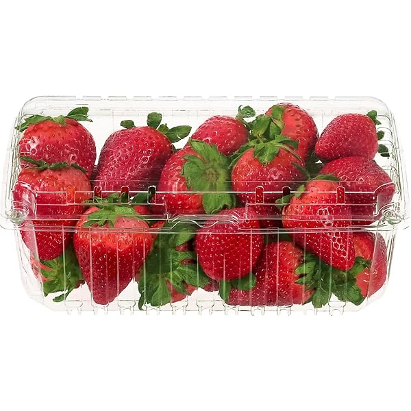Fresas Orgánicas Frescas Planta Fresa Con Fresas Orgánicas Frescas