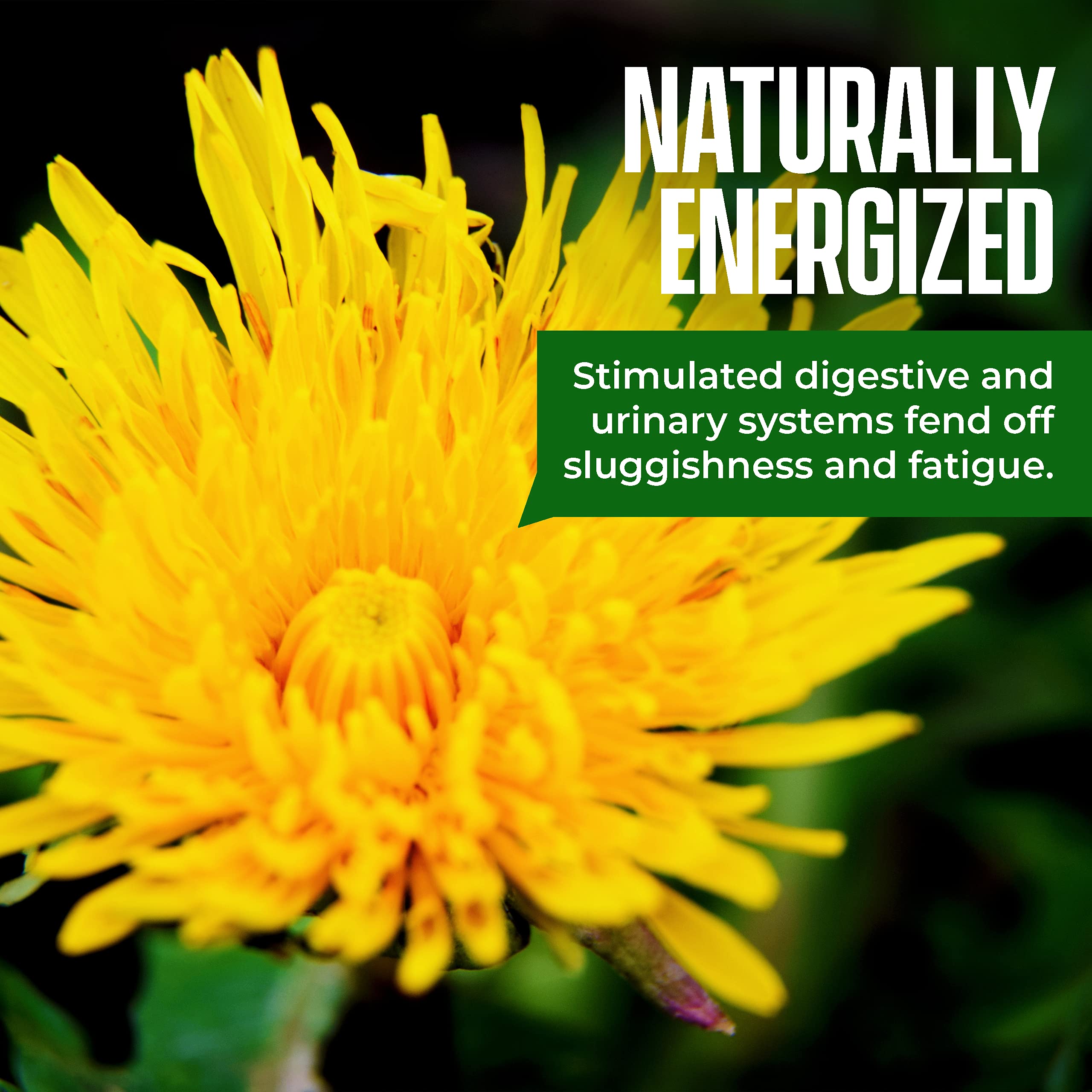 Dandelion Root Tea Detox Tea - Raw Organic Vitamin Rich Digestive ...