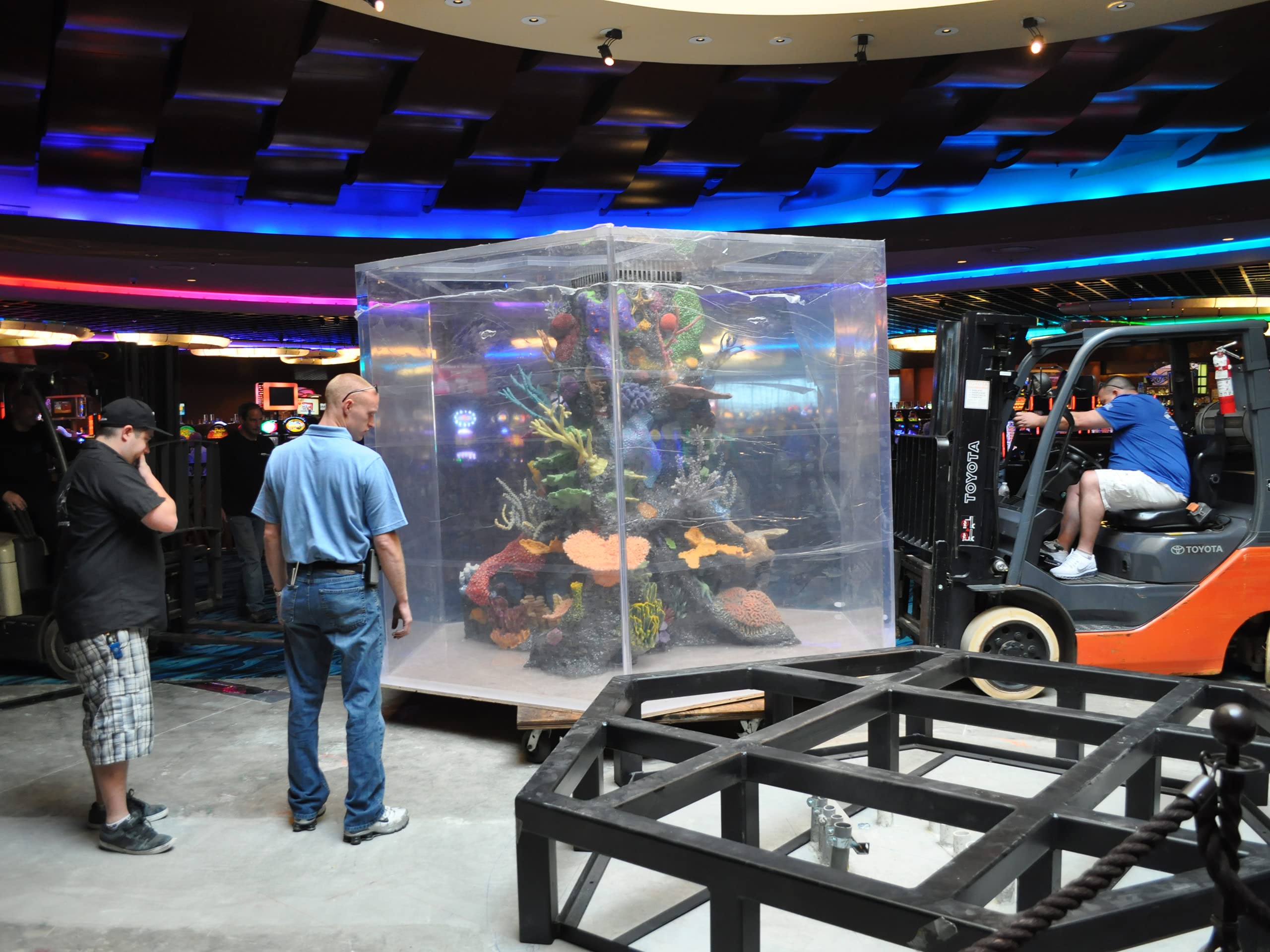 Watch Tanked - Season 3 | Prime Video