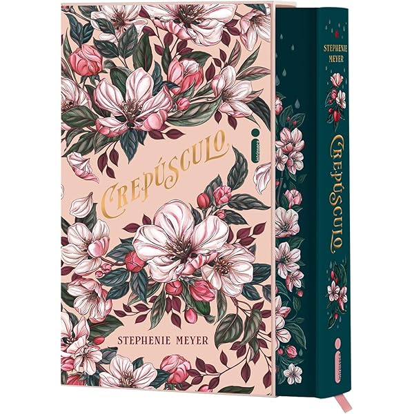 Capa Do Livro Lua Nova